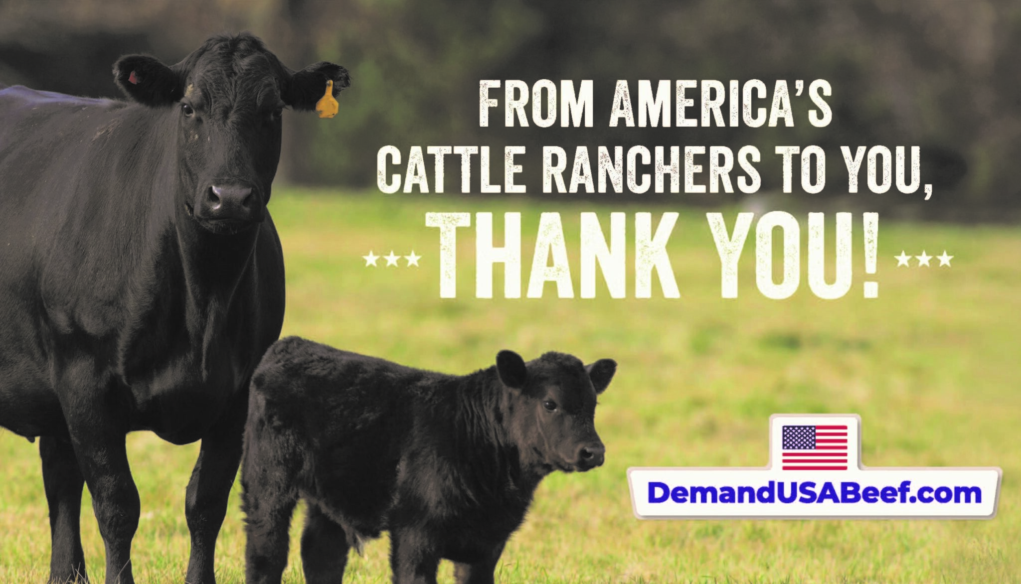 Demand USA Beef Petition